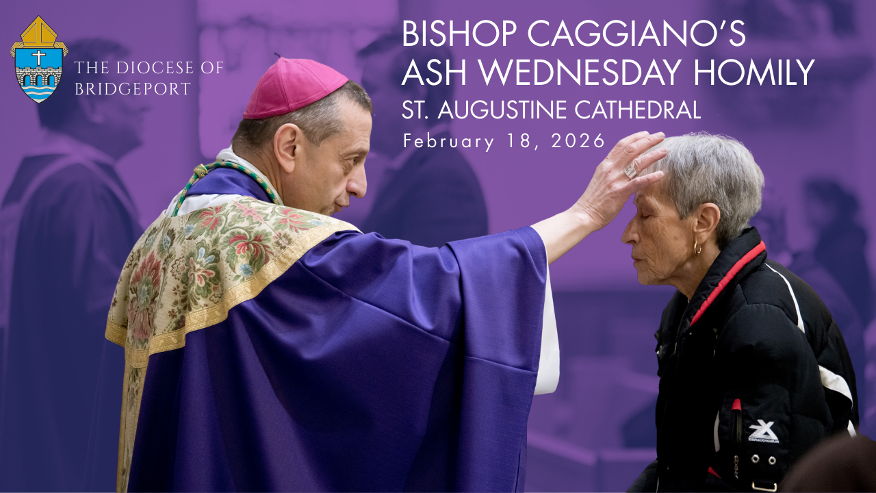 Diocese of Bridgeport – The Roman Catholic Diocese of Bridgeport